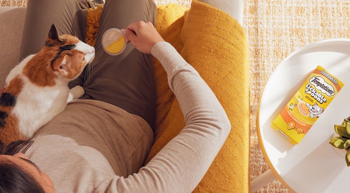 TEMPTATIONS Lickable Spoons Tasty Chicken & Cheesy Cheese Cat Lickable ...