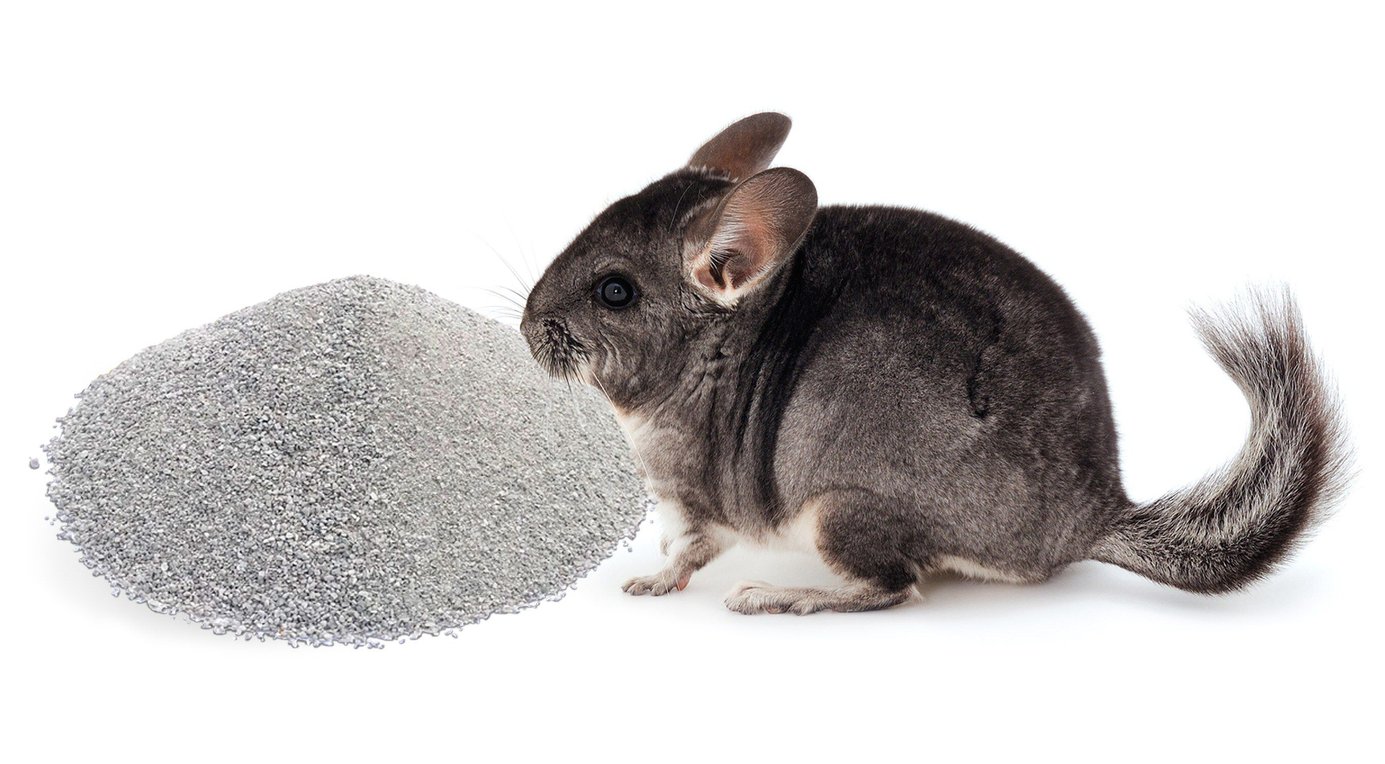 TINY FRIENDS FARM Russel Rabbit Food, 5.5-lb bag - Chewy.com