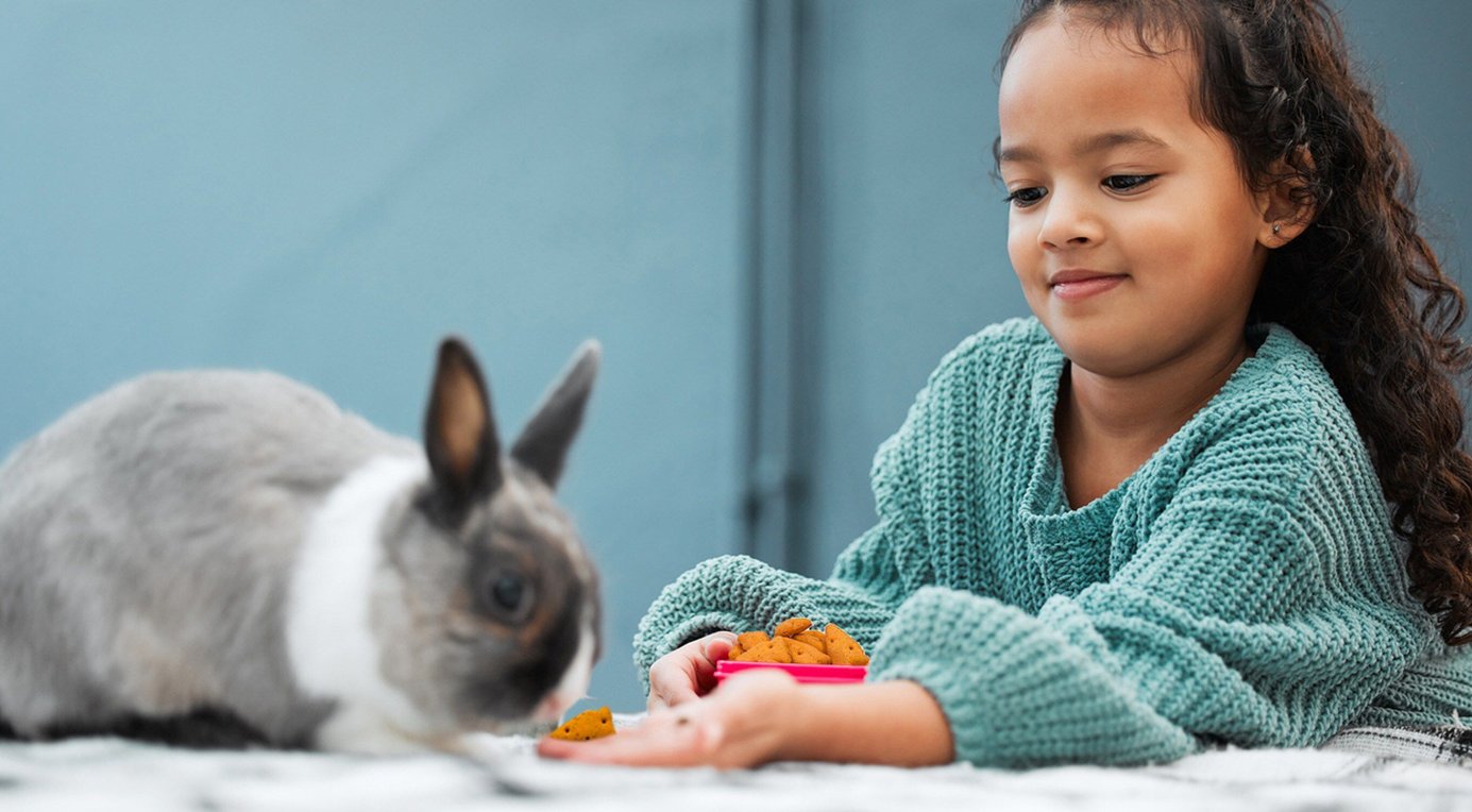 TINY FRIENDS FARM Russel Rabbit Food, 5.5-lb bag - Chewy.com