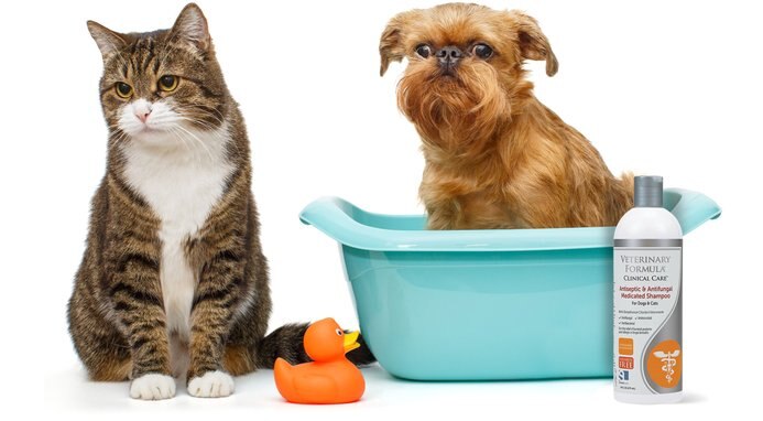 VETERINARY FORMULA CLINICAL CARE Super Clot Fast Acting Gel for Dogs ...