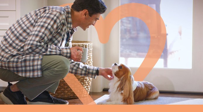 VETMEDIN-CA1 (pimobendan) Chewable Tablets for Dogs, 5-mg, 50 tablets ... VETMEDIN-CA1 (pimobendan) Chewable Tablets for Dogs, 5-mg, 50 tablets ...
