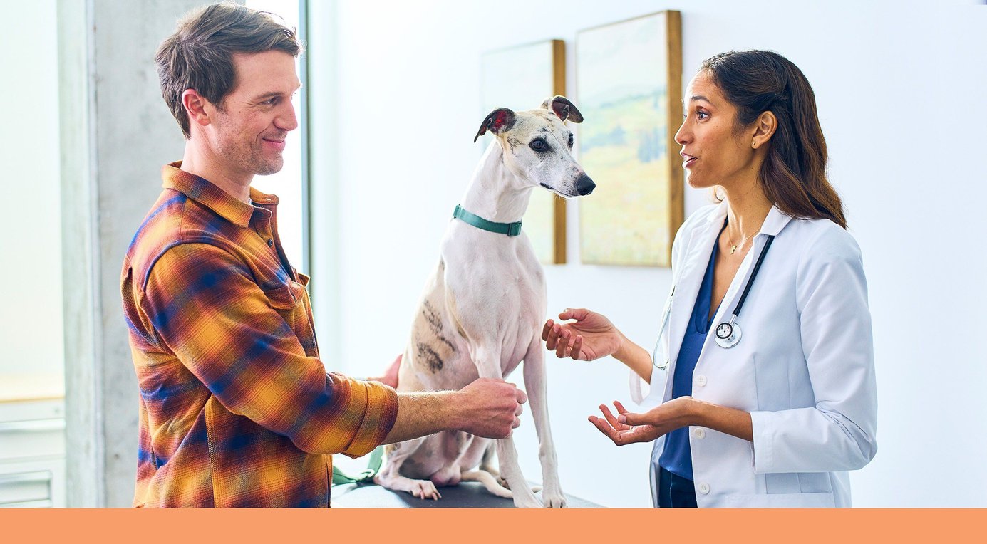 VETMEDIN (pimobendan) Chewable Tablets for Dogs, 5-mg - Easy Refills ...