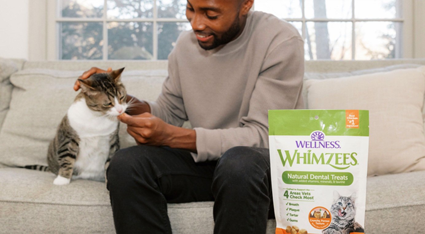 WHIMZEES by Wellness Natural Chicken & Salmon Dental Cat Treats, 2-oz ...
