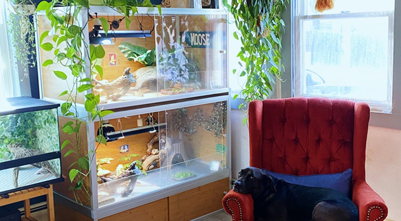 Temporarily Unavailable - ZEN HABITATS Meridian Enclosure with Wood ...