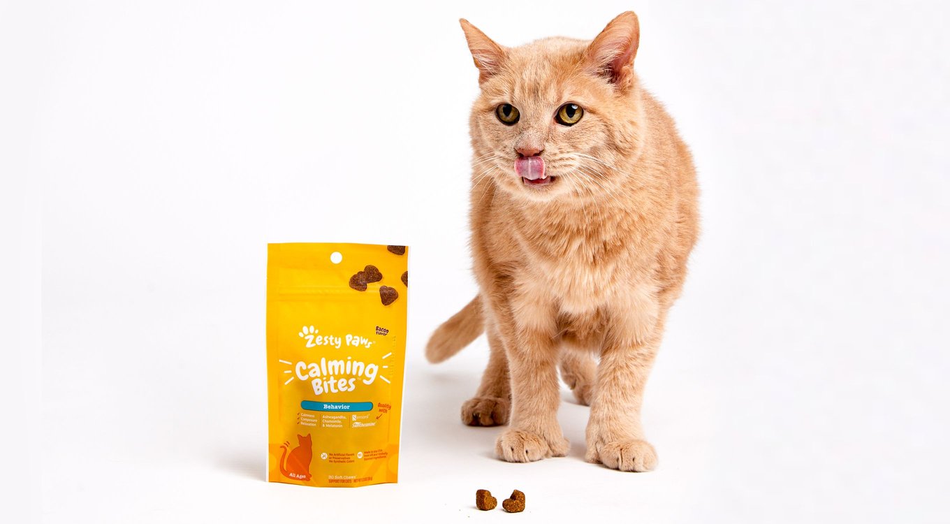 ZESTY PAWS Calming Bites Bacon Flavored Soft Chews Melatonin Supplement ...