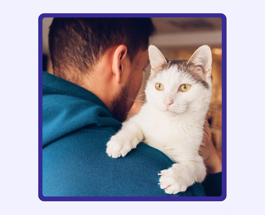 CarePlus Pet Insurance & Wellness | Chewy Health