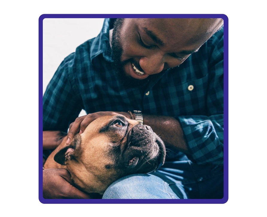 CarePlus Pet Insurance & Wellness | Chewy Health