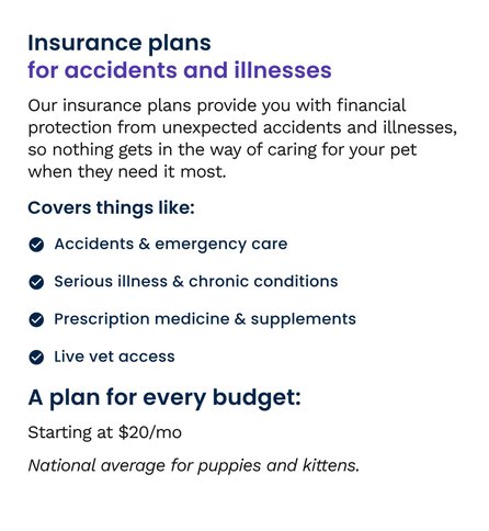 CarePlus Pet Insurance & Wellness | Chewy Health