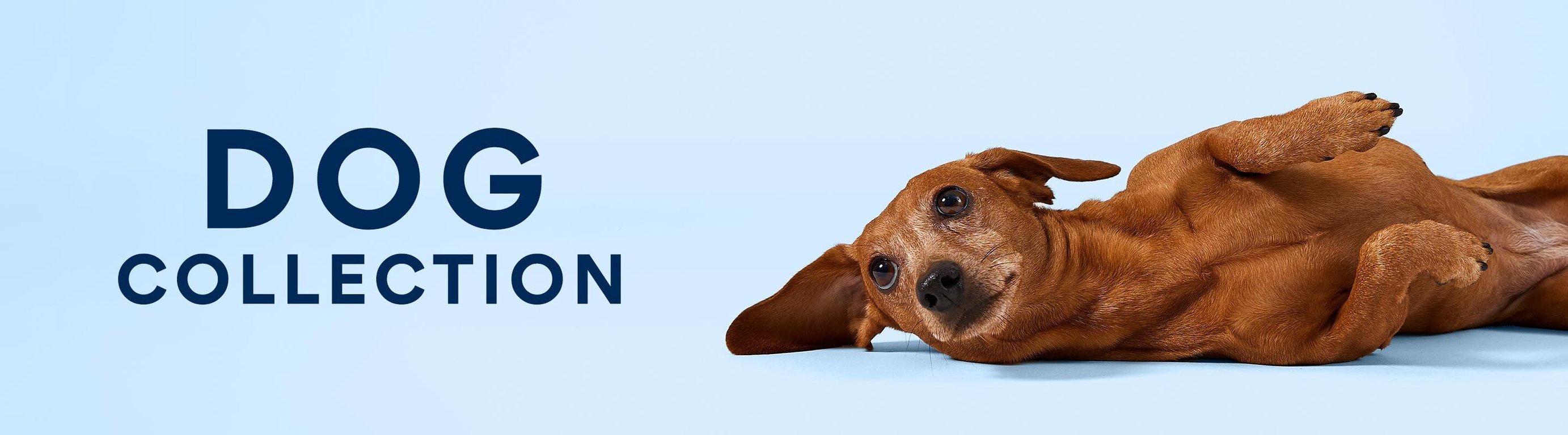 Chewy Home Collection - Free shipping | Chewy