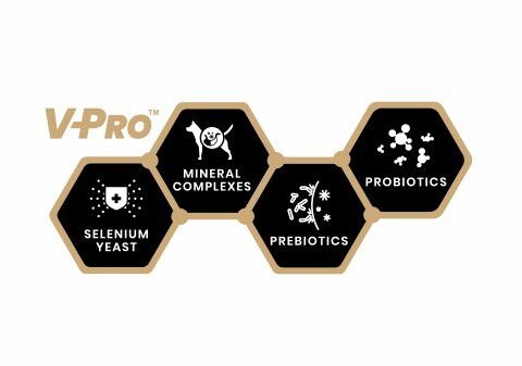 VICTOR Hi-Pro Plus 30/20 Active Sporting High Protein Gluten-Free Dry ...