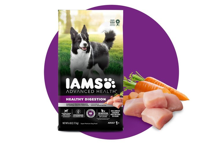 IAMS Advanced Health Adult Healthy Digestion with Real Chicken Dry Dog ...