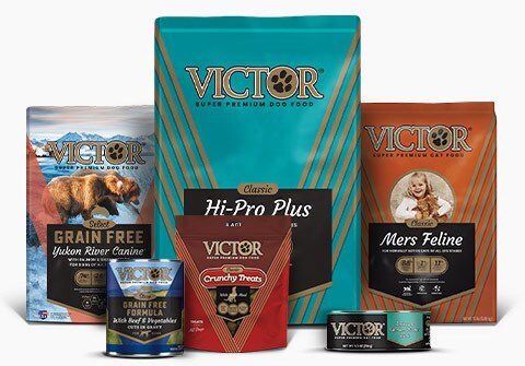 VICTOR Hi-Pro Plus 30/20 Active Sporting High Protein Gluten-Free Dry ...