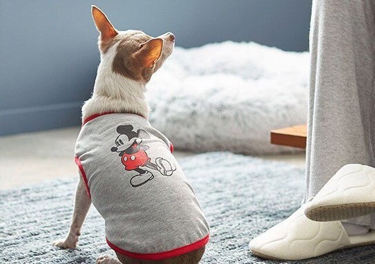 DISNEY Mickey Mouse Classic Dog & Cat T-shirt, Gray, X-Large - Chewy.com