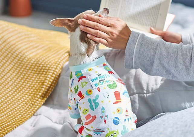 PIXAR Aliens Plush Squeaky Dog Toy, 3 count - Chewy.com