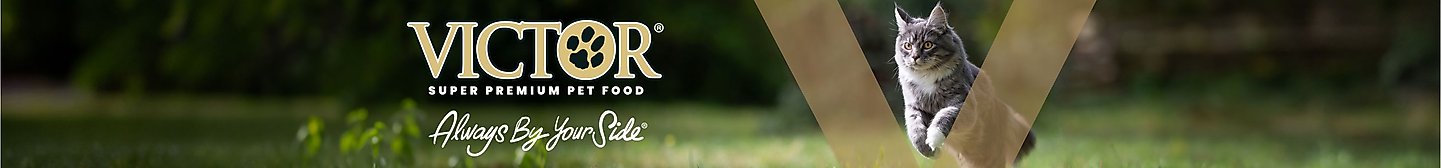 VICTOR for Cats - Free shipping | Chewy