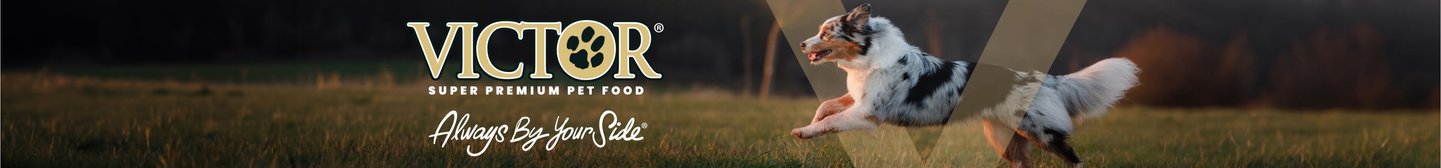 VICTOR for Dogs - Free shipping | Chewy