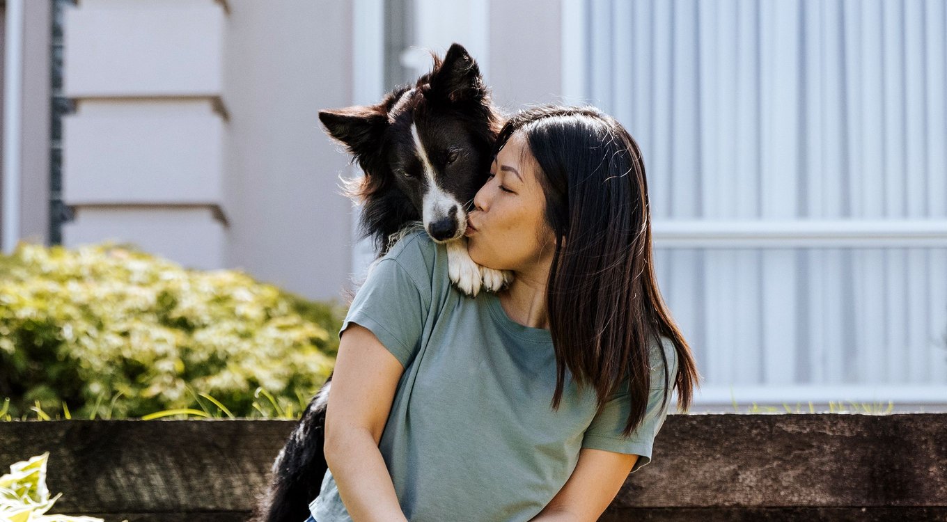 ACANA Chewy Salmon with Skin, Coat, & Digestive Support Strips Dog ...