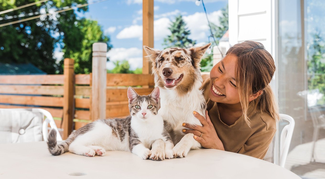 ACANA Chewy Salmon with Skin, Coat, & Digestive Support Strips Dog ...