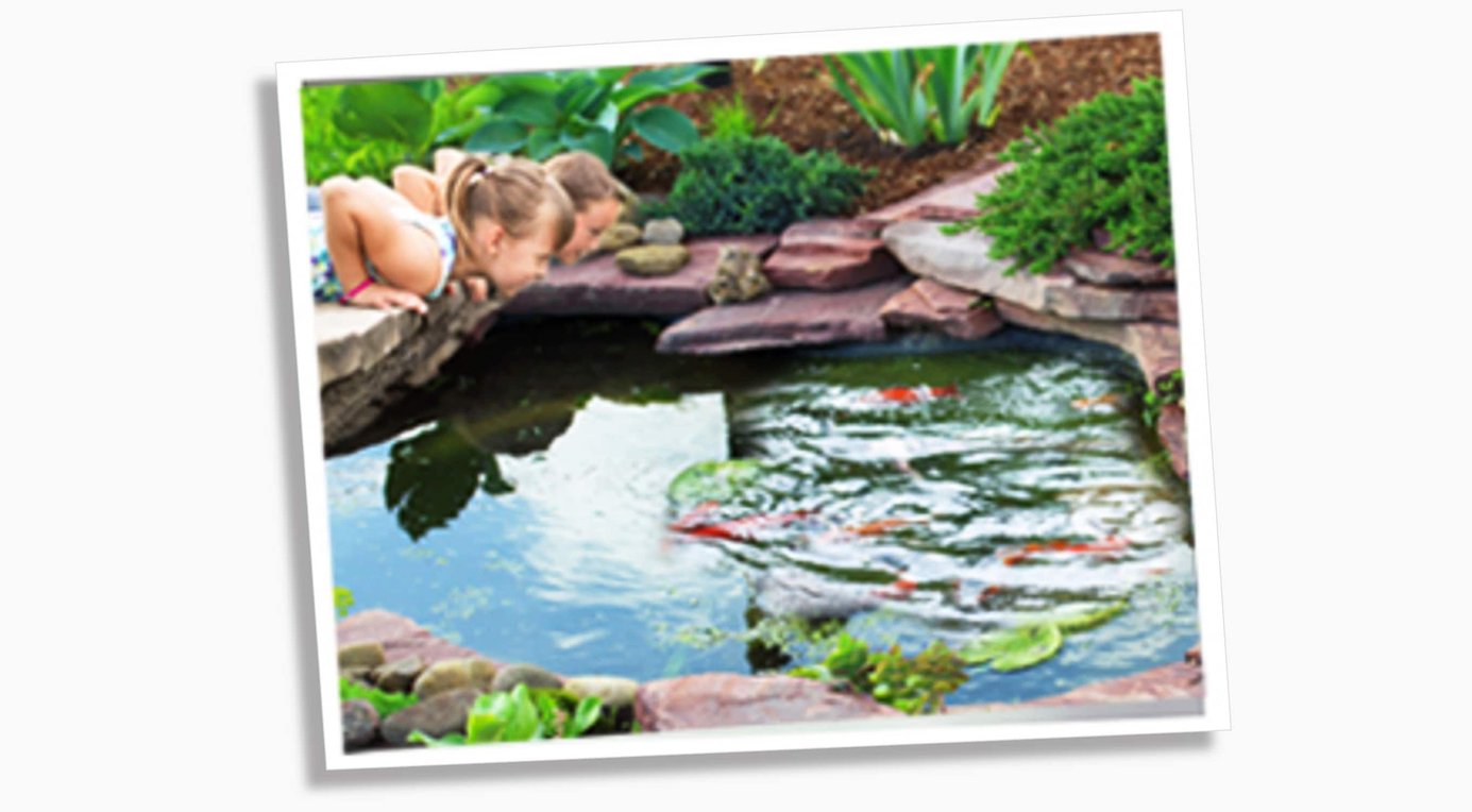 API Pond Algaefix Algae Control Solution, 2.5-gal bottle - Chewy.com