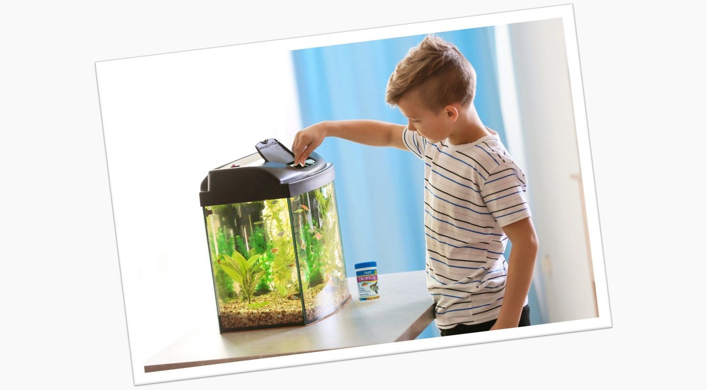 API 5 in 1 Freshwater & Saltwater Aquarium Test Strips, 4 count - Chewy.com