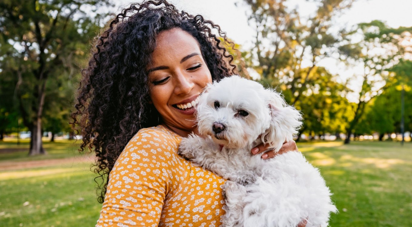 APOQUEL (oclacitinib chewable tablet) Chewable for Dogs, 5.4mg - Easy ...