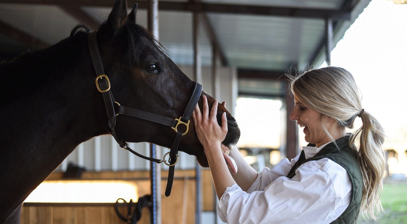 BLUEBONNET FEEDS Limited Ingredient Forage Balancer Horse Feed, 44-lb ...