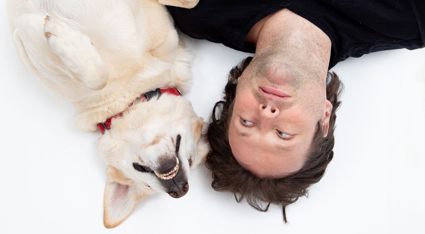 BARK Animal Squeakers Snacks Multi-Part Squeaky Plush Dog Toy, Small ...