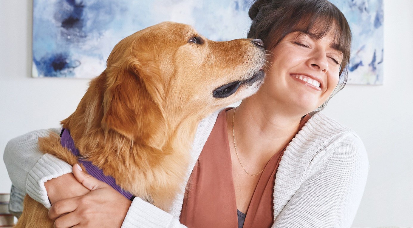 FRONTLINE PLUS Flea & Tick Spot Treatment for Large Dogs, 45-88 lbs, 8 ...