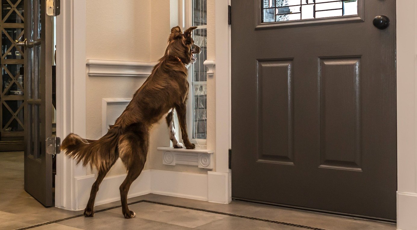 GARMIN Delta SE Hand-Held Remote Dog Training System, Black, Small ...