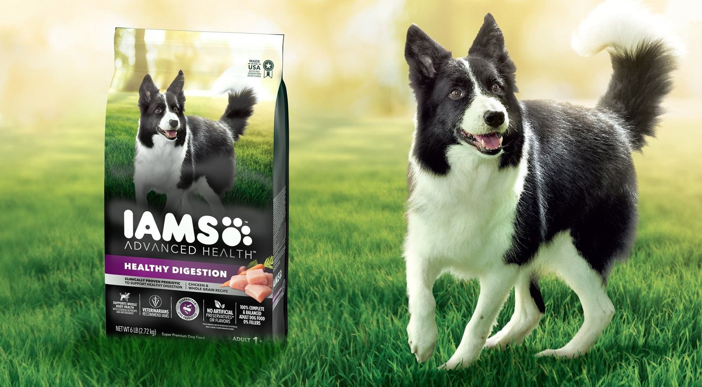 IAMS Advanced Health Adult Healthy Digestion with Real Chicken Dry Dog ...