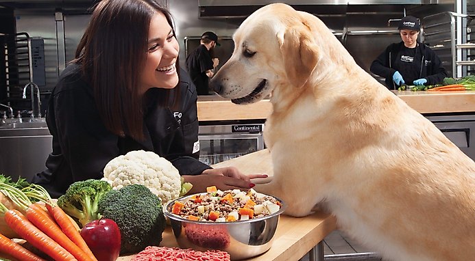 JUSTFOODFORDOGS Variety Pack Frozen Human-Grade Fresh Dog Food, 5.5-oz ...