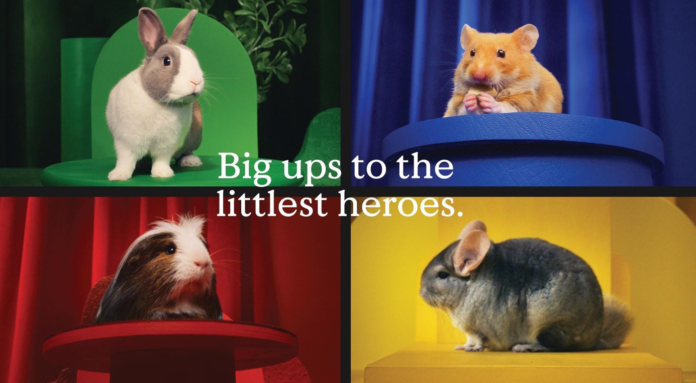 KAYTEE Natural Timothy Blend Cubes Small Animal Treats, 1-lb bag ...