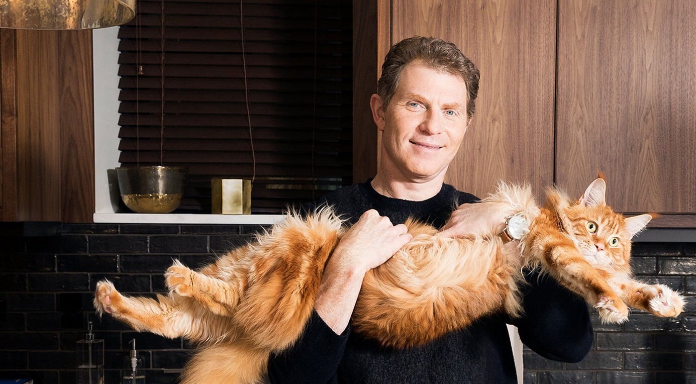 MADE BY NACHO Wild-Caught Chicken & Herring Recipe with Bone Broth ...