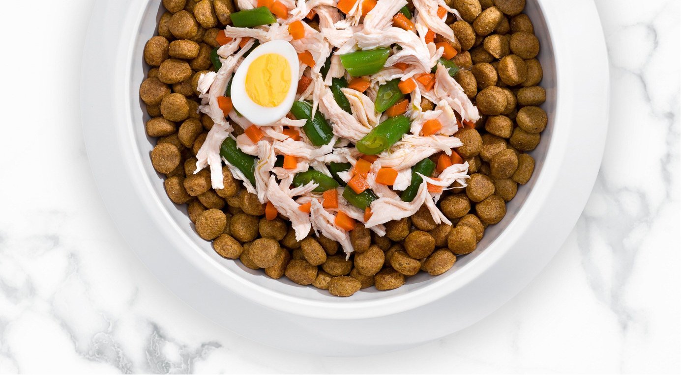 Discontinued - NUTRO SO SIMPLE Adult Beef & Rice Recipe Natural Dry Dog ...