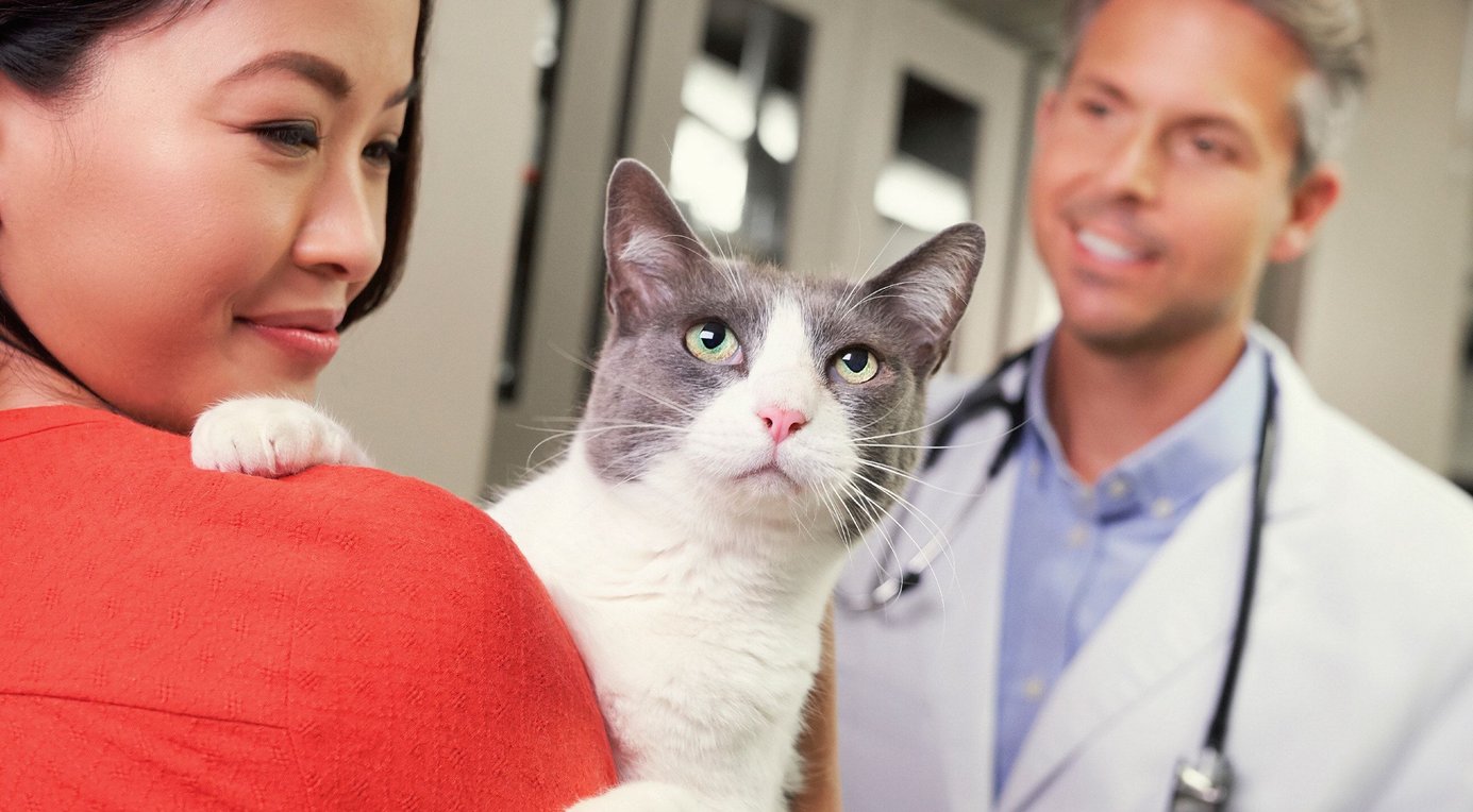 Purina Pro Plan Veterinary Diets OM Overweight Management Formula Dry ...