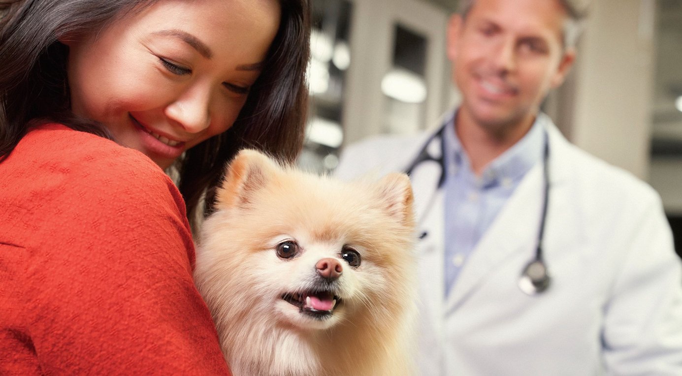 PURINA PRO PLAN VETERINARY DIETS Gentle Snackers Dog Treats, 8-oz pouch ...