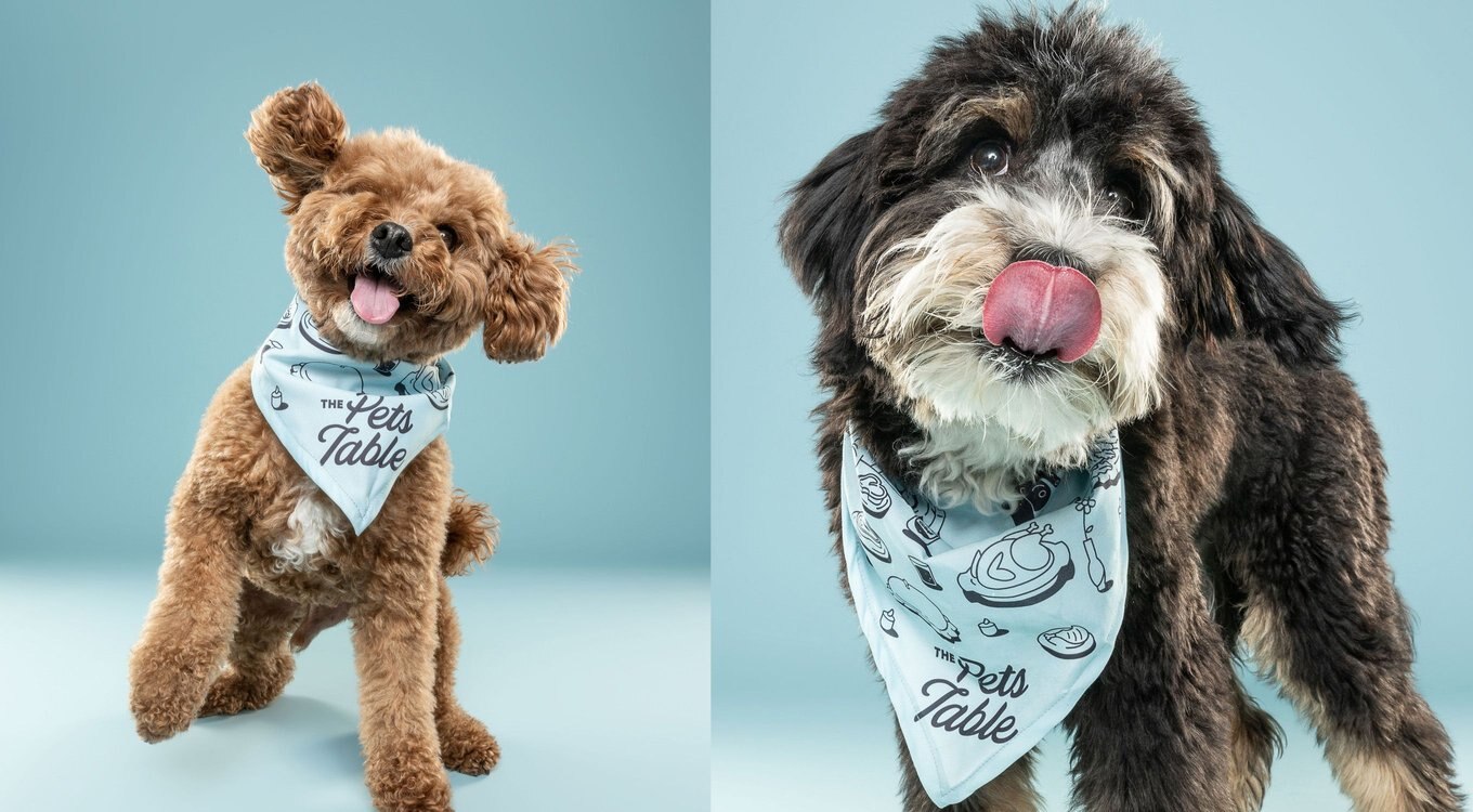 THE PETS TABLE Chicken & Sweet Potato Air-Dried Dog Food, 48-oz bag ...