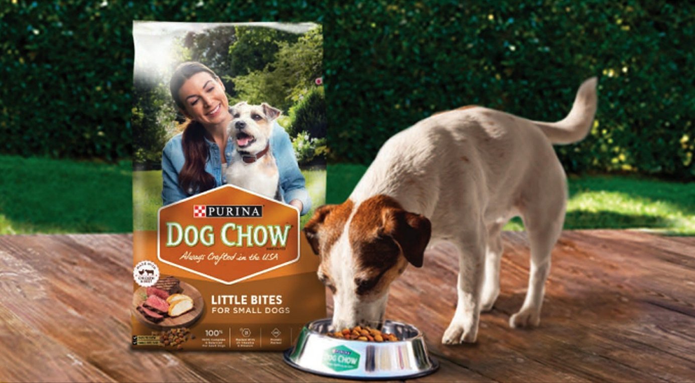 DOG CHOW Complete Adult with Real Chicken Dry Dog Food, 4.4-lb bag ...
