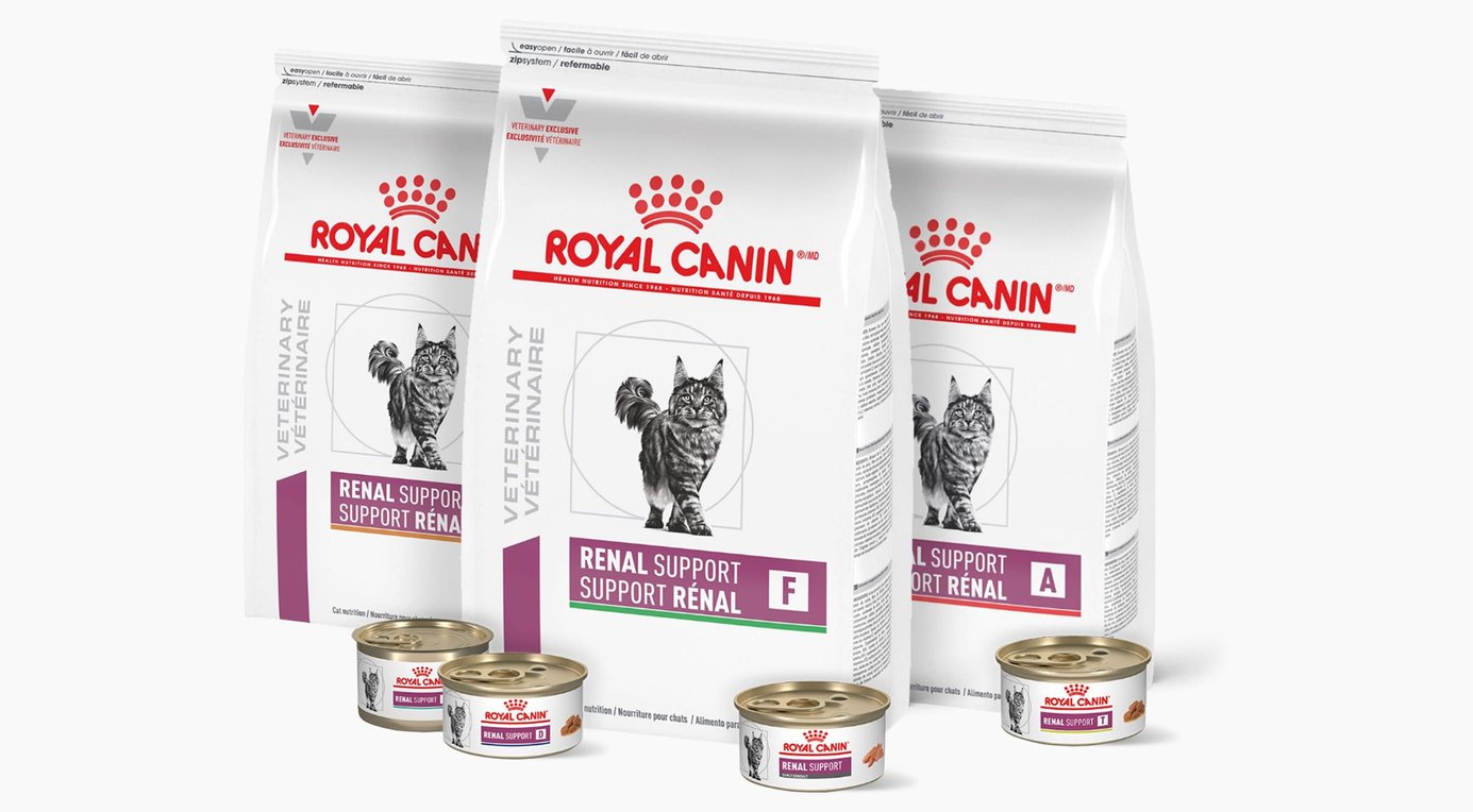 ROYAL CANIN VETERINARY DIET Adult Renal Support E Loaf in Sauce Wet Cat ...