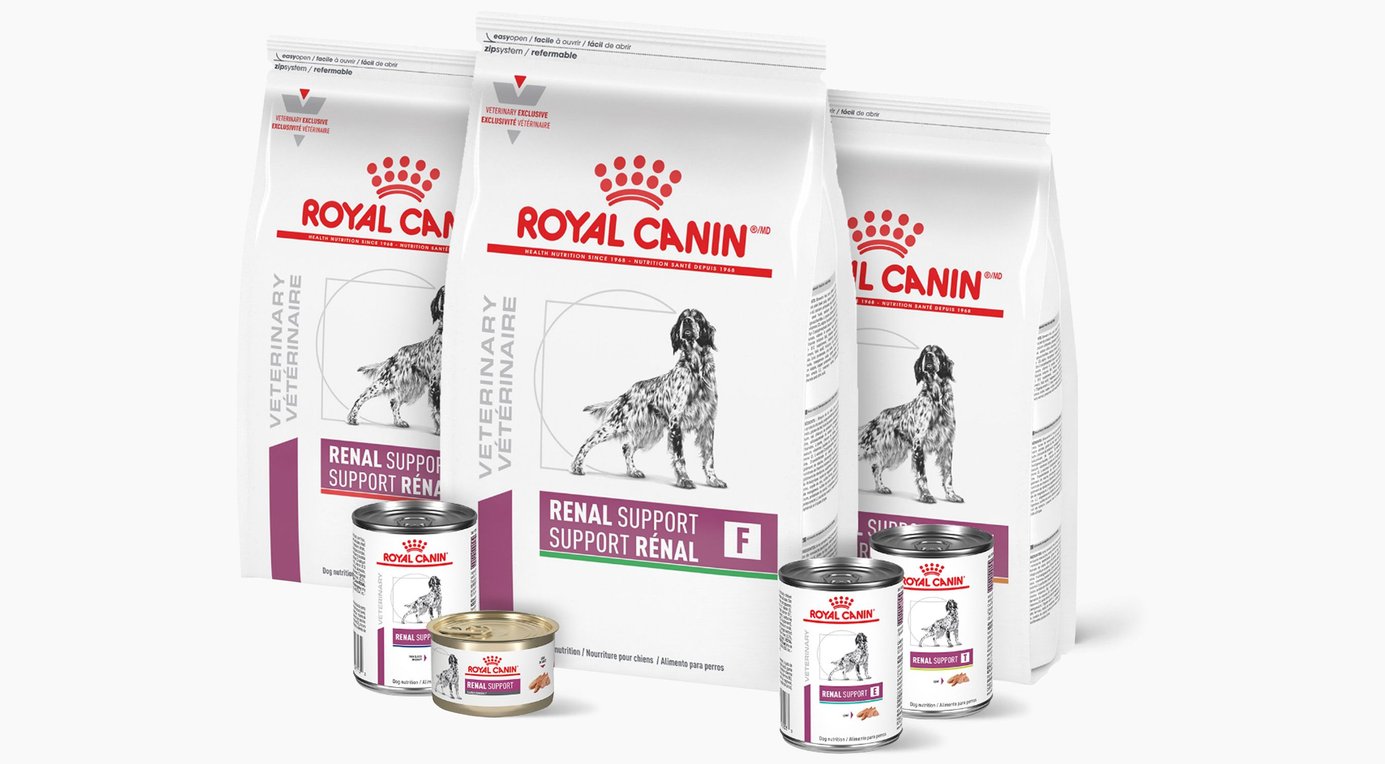 ROYAL CANIN VETERINARY DIET Adult Renal Support A Dry Dog Food, 6-lb bag - Chewy.com
