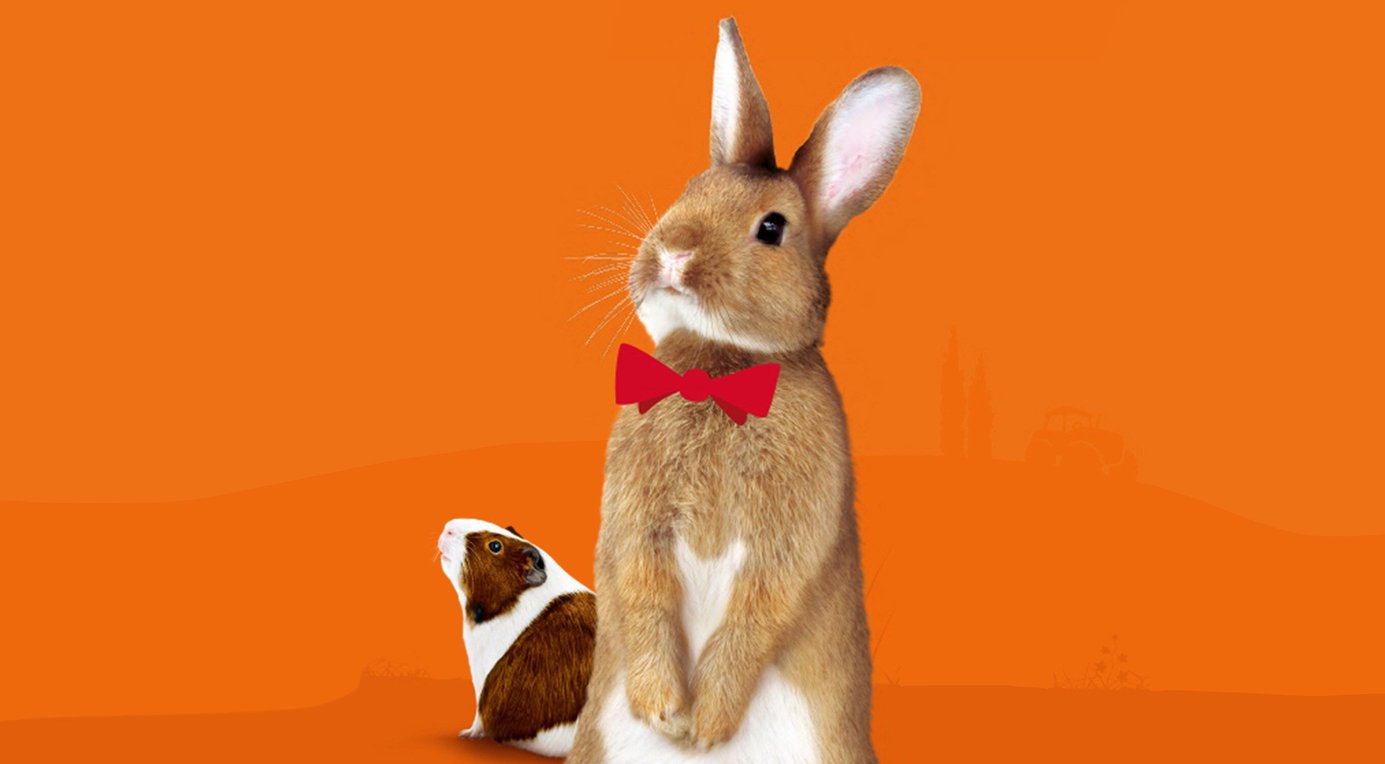 TINY FRIENDS FARM Russel Rabbit Food, 5.5-lb bag - Chewy.com