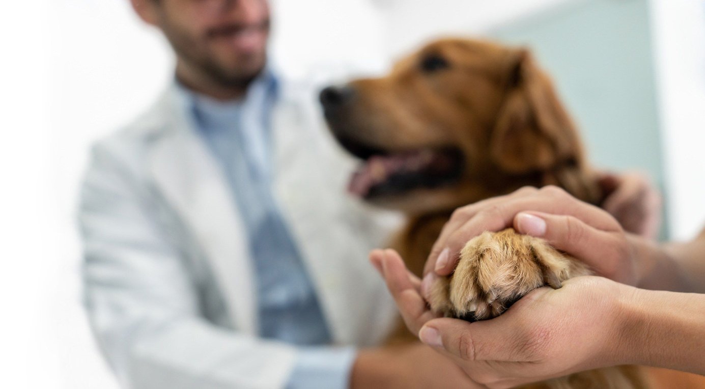 ULTICARE VETRX Insulin Syringes U-40 12.7mm x 29G, 0.5-cc - Easy ...