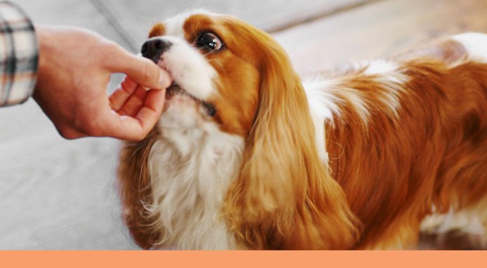 VETMEDIN-CA1 (pimobendan) Chewable Tablets for Dogs, 5-mg, 50 tablets ... VETMEDIN-CA1 (pimobendan) Chewable Tablets for Dogs, 5-mg, 50 tablets ...