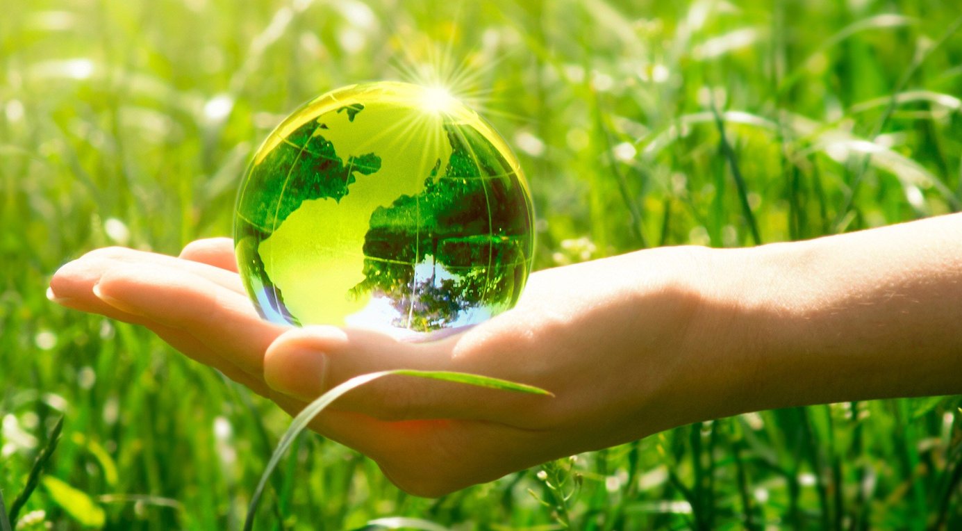 VETOQUINOL Pro-Pectalin Diarrhea Supplement for Dogs & Cats, 250 count ...