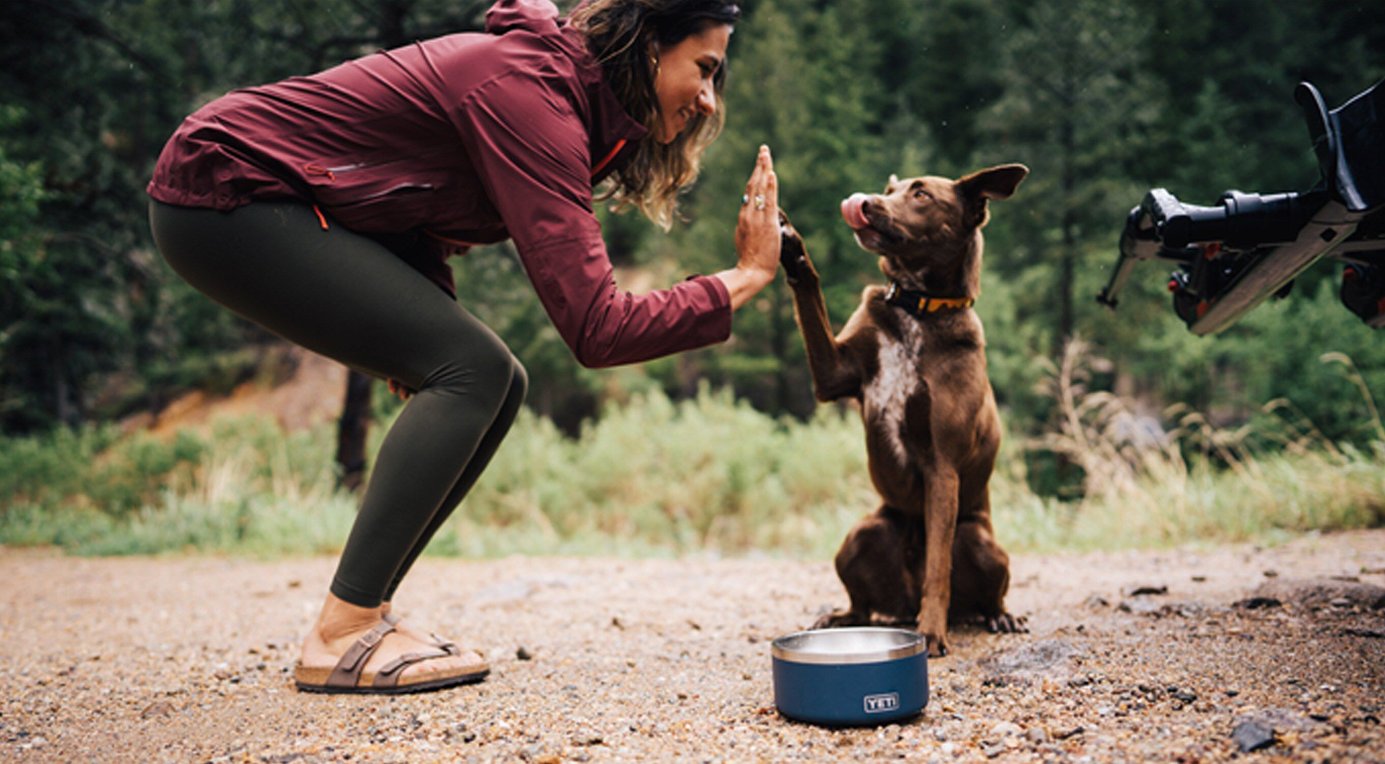YETI Boomer Dog Bowl, Seafoam, 4-cup - Chewy.com