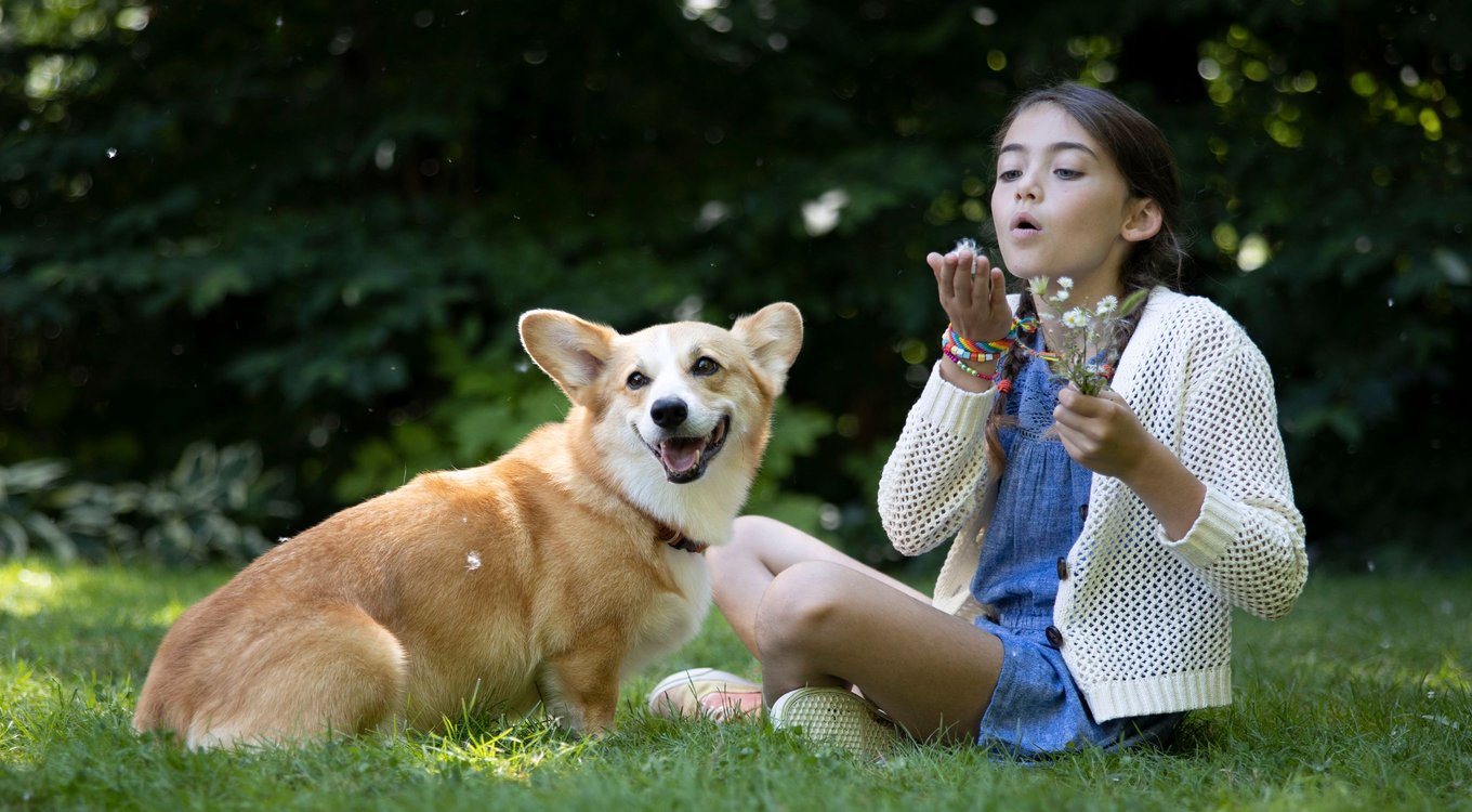 Zesty Paws Probiotic Bites with Natural Digestive Enzymes Pumpkin ...