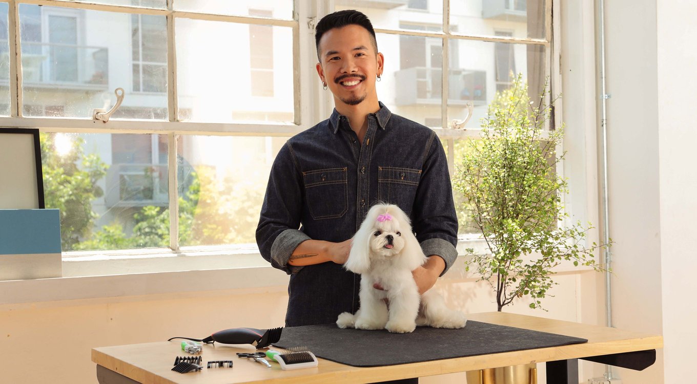 ANDIS Pro-Animal 7-Piece Detachable Blade Pet Clipper Kit - Chewy.com