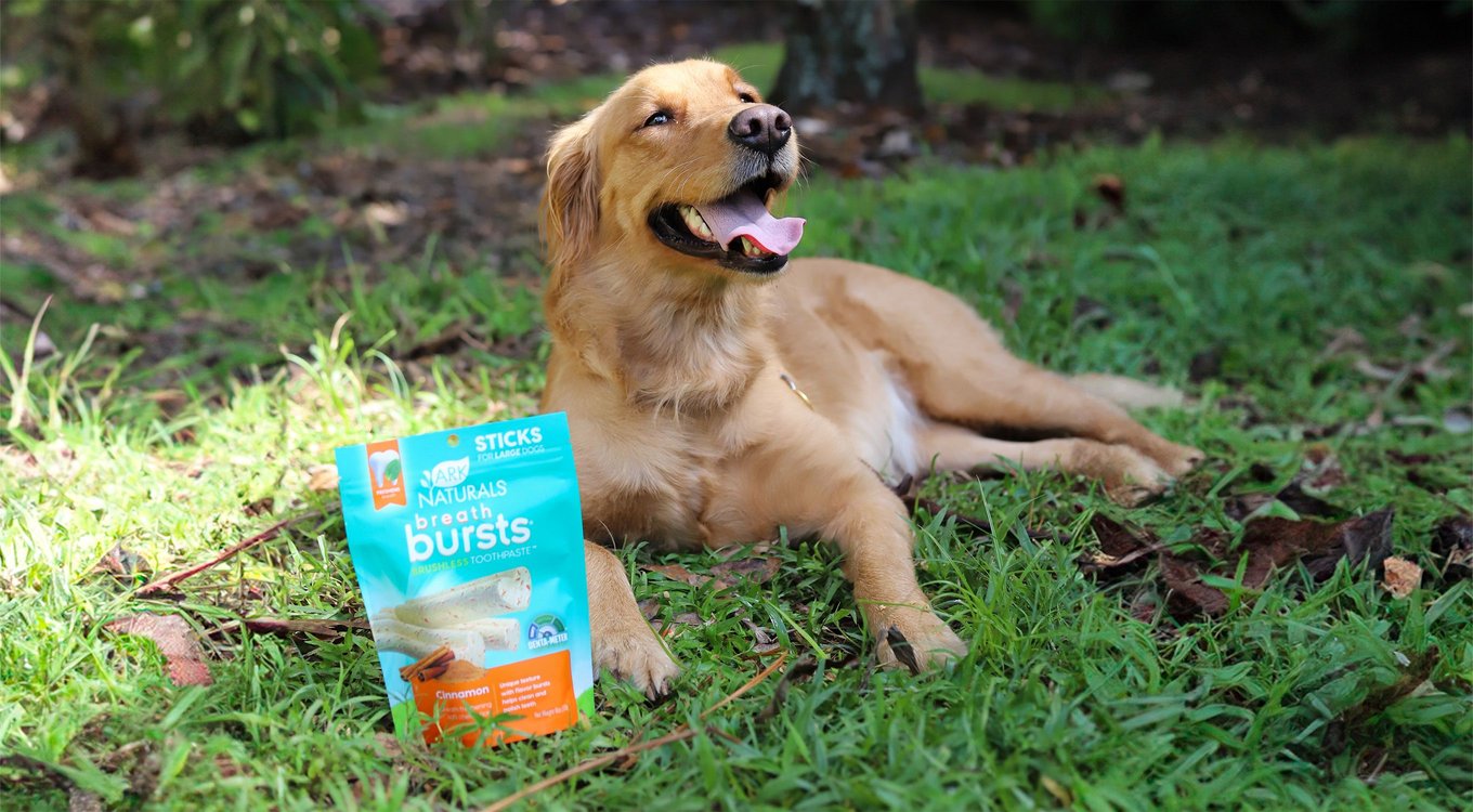 ARK NATURALS Breath Bursts Peppermint Sticks Medium/Large Dental Dog ...