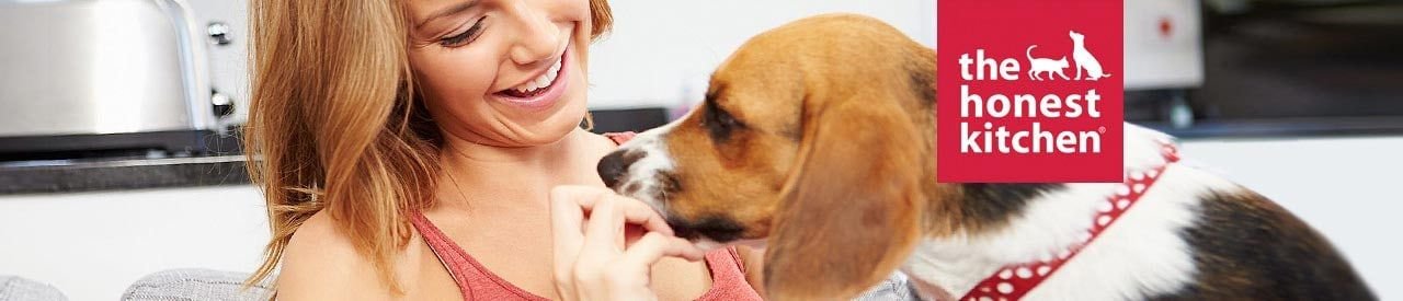 THE HONEST KITCHEN Jerky Harvest Mini Bars Chicken Recipe with Apples ...