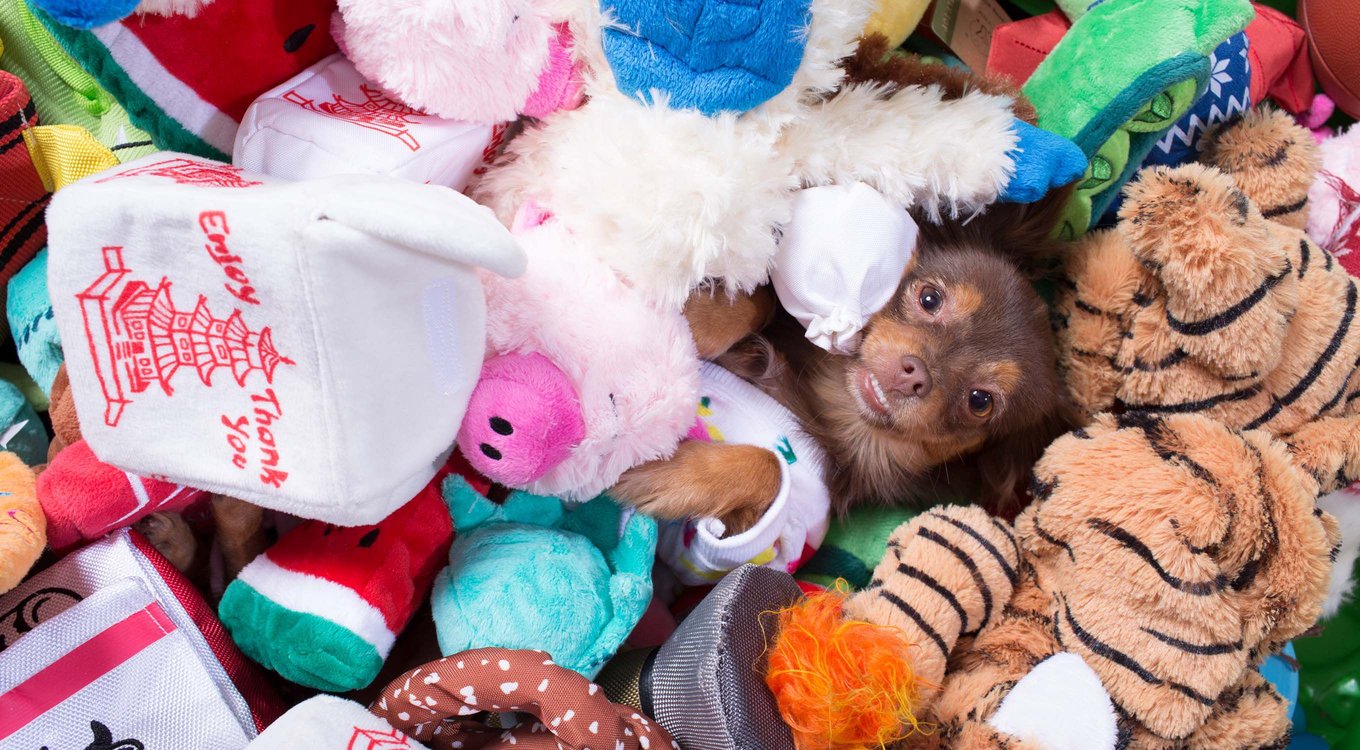 BARK Animal Squeakers Snacks Multi-Part Squeaky Plush Dog Toy, Small ...